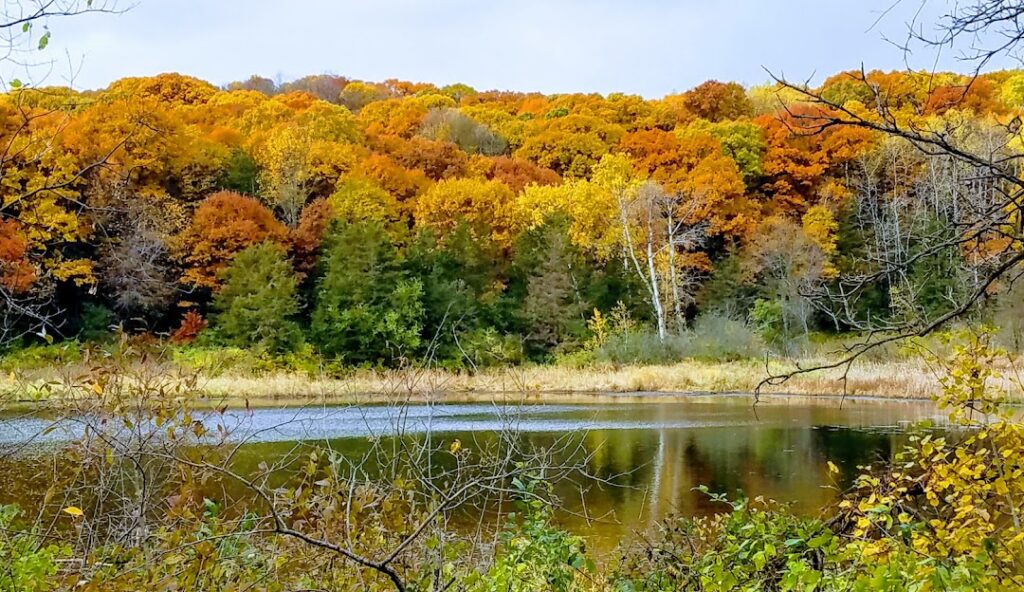 Exploring the Twin Cities: Where Urban Buzz Meets Suburban Tranquility ...